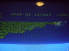 Pooyan – C64-Wiki